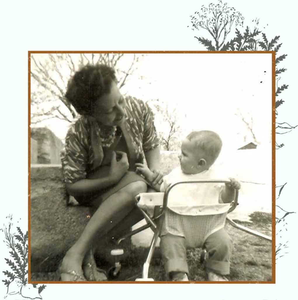 Viola Shipman | About Viola Shipman